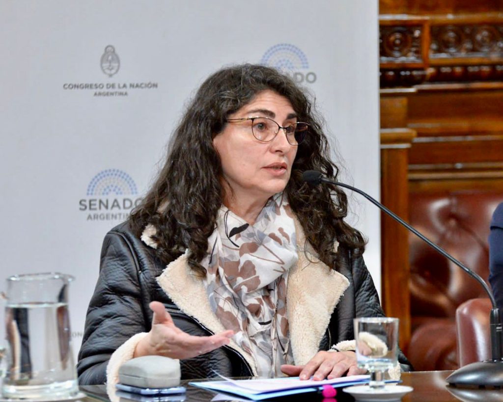 Senadora Ianni pide avanzar con la reglamentación del transporte de ...